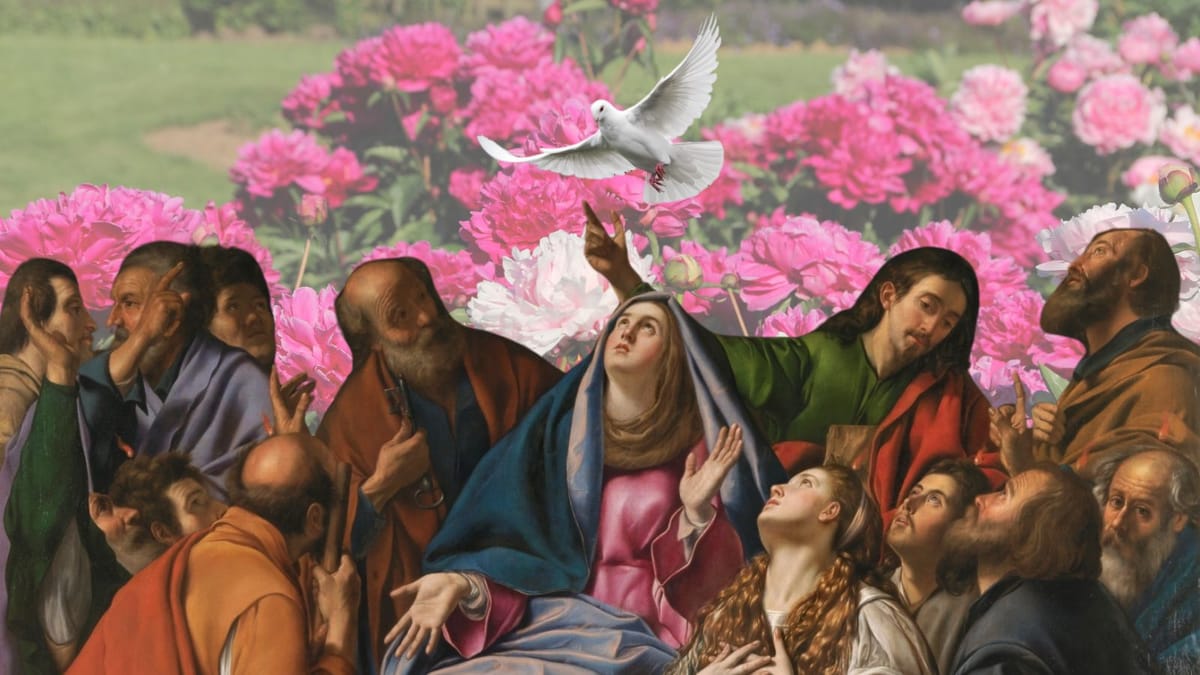 La flor de Pentecostés: el simbolismo de la peonía y su vínculo con el ...