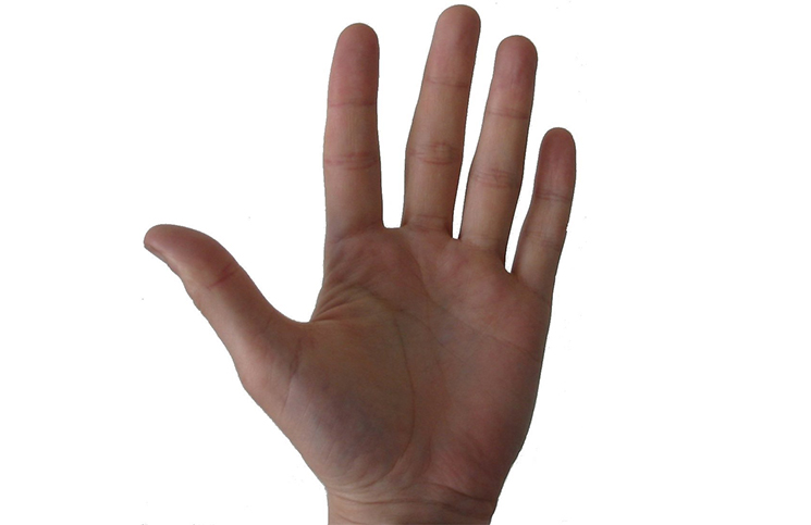 La “Oración de los 5 dedos” del Papa Francisco